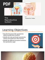Human Reproductive Systems PowerPoint | PDF | Human Reproduction ...