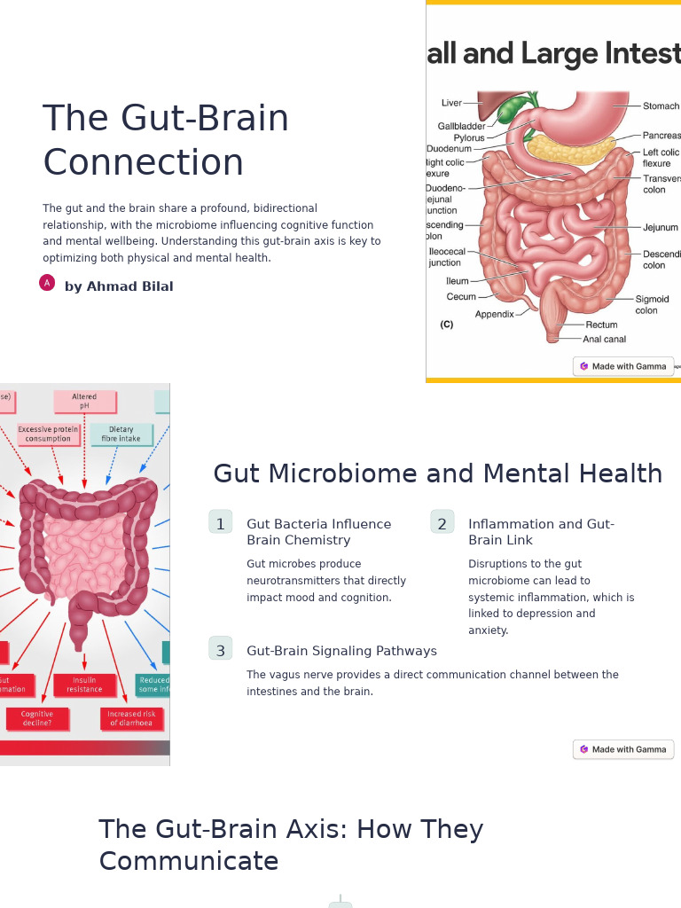 Gut-Brain Connection for Mental Health | PDF