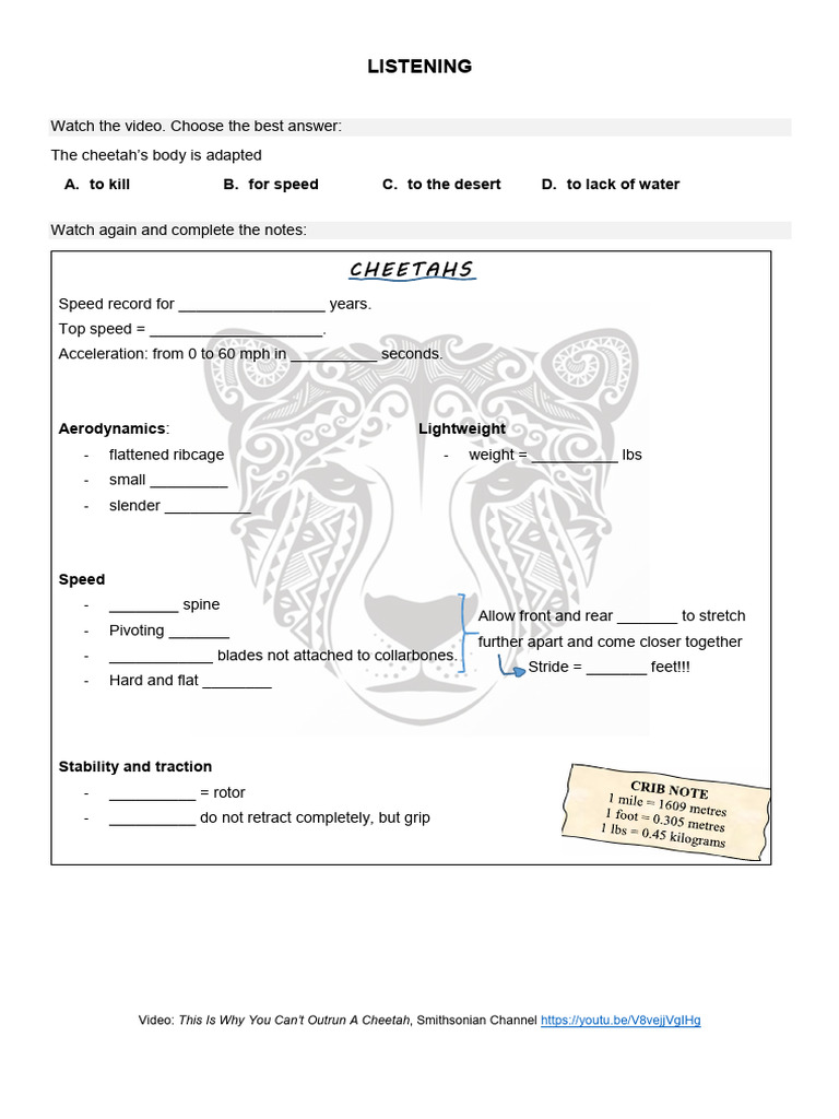 Cheetah Speed Adaptations Explained | PDF