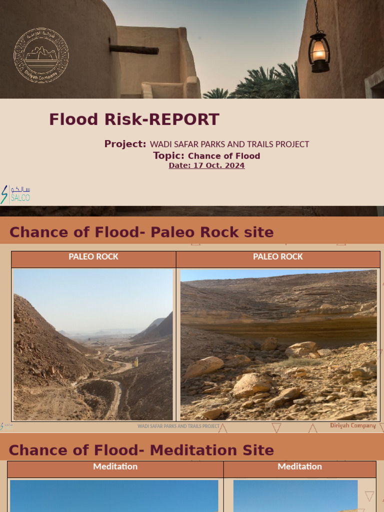 Risk Flood Campaign Report | PDF