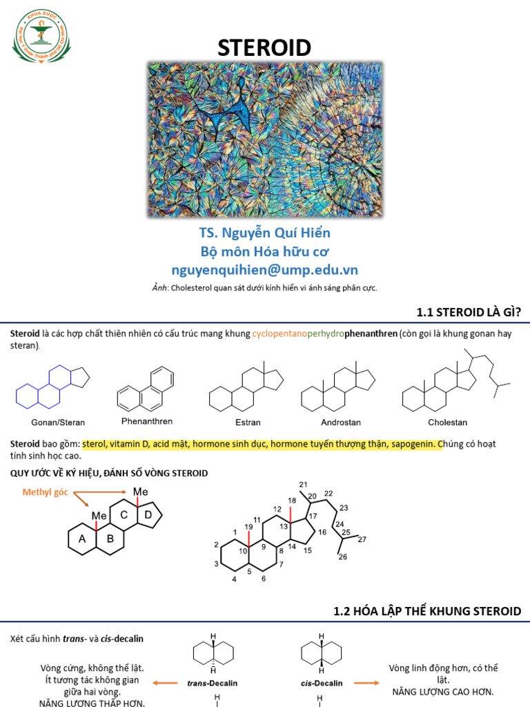 Steroid Hien 230619 090012 | PDF