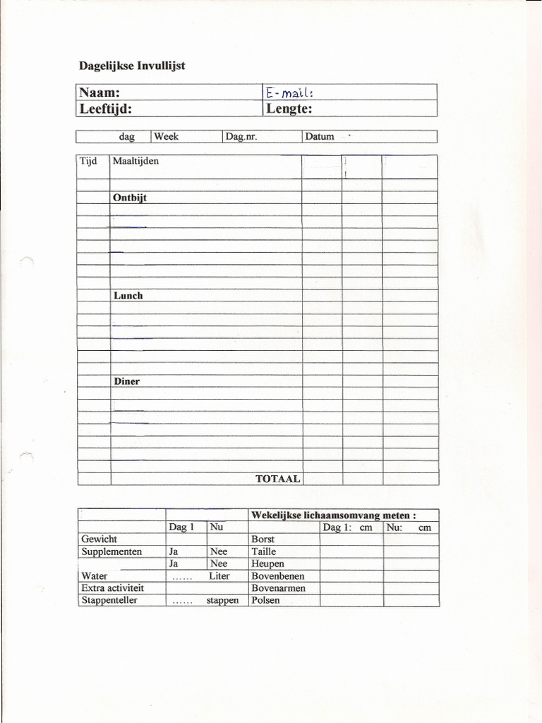 Dagelijkse Invullijst0001 | PDF