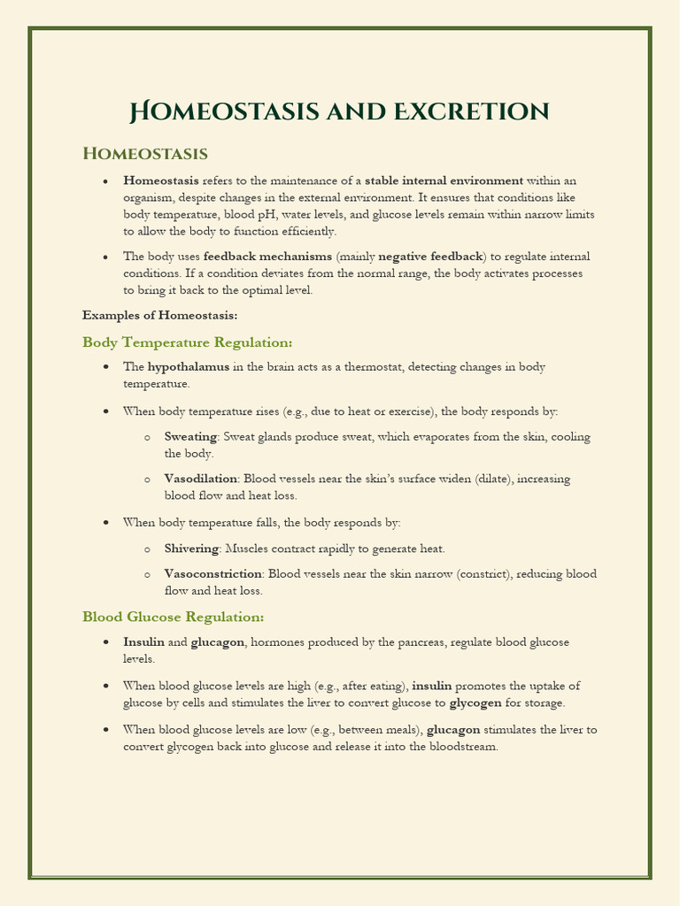 Homeostasis and Excretion | PDF | Homeostasis | Skin