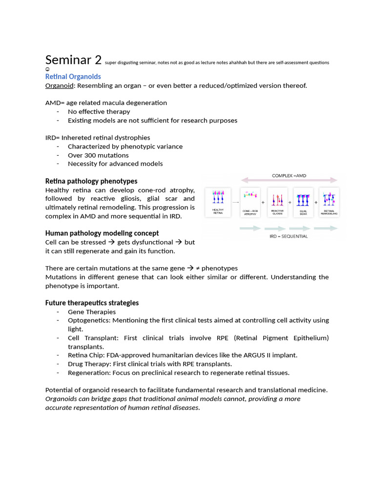 Retinal Organoids: Research and Protocols | PDF | Retina | Gene Therapy