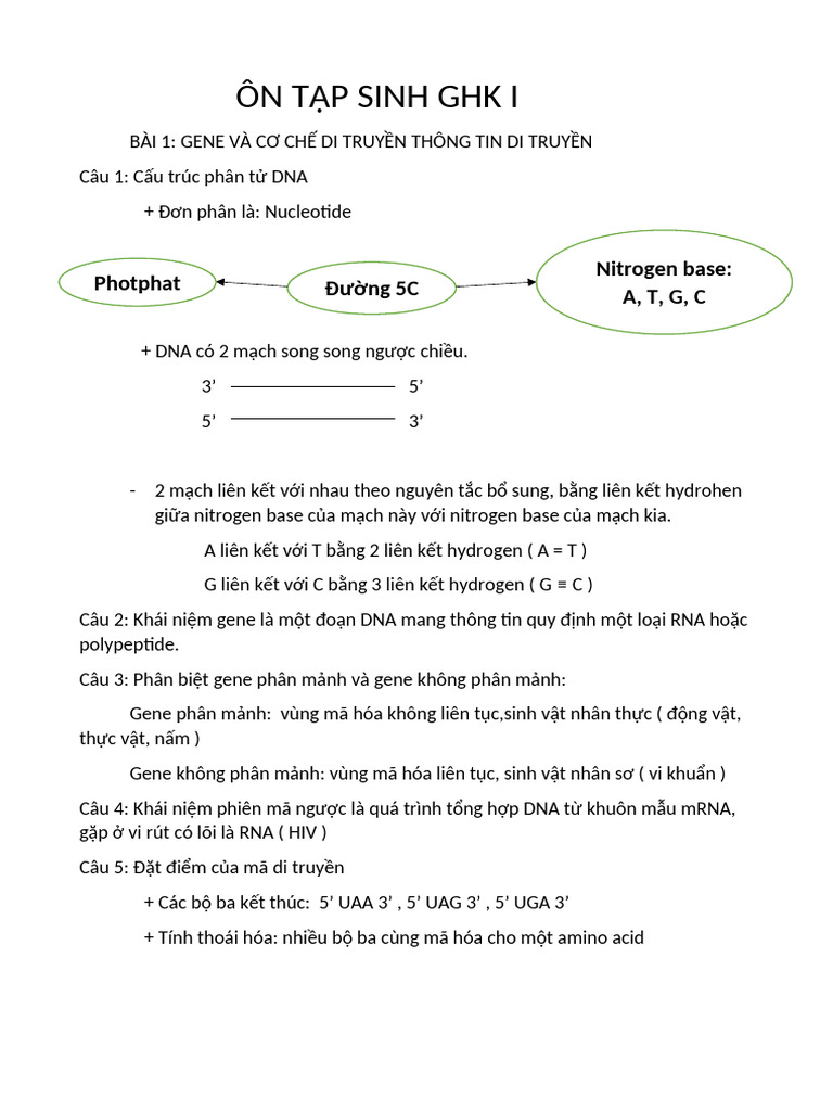 ÔN TẬP SINH GHK I lớp 12 | PDF