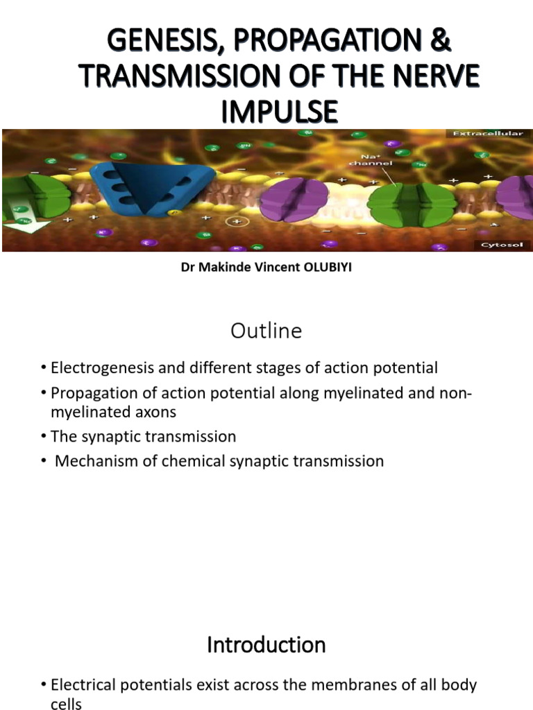 Genesis, Propagation and Transmission of The Nerve Impulse Med Year 1 ...