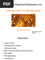 BSS Game Guide | PDF | Bees | Beehive