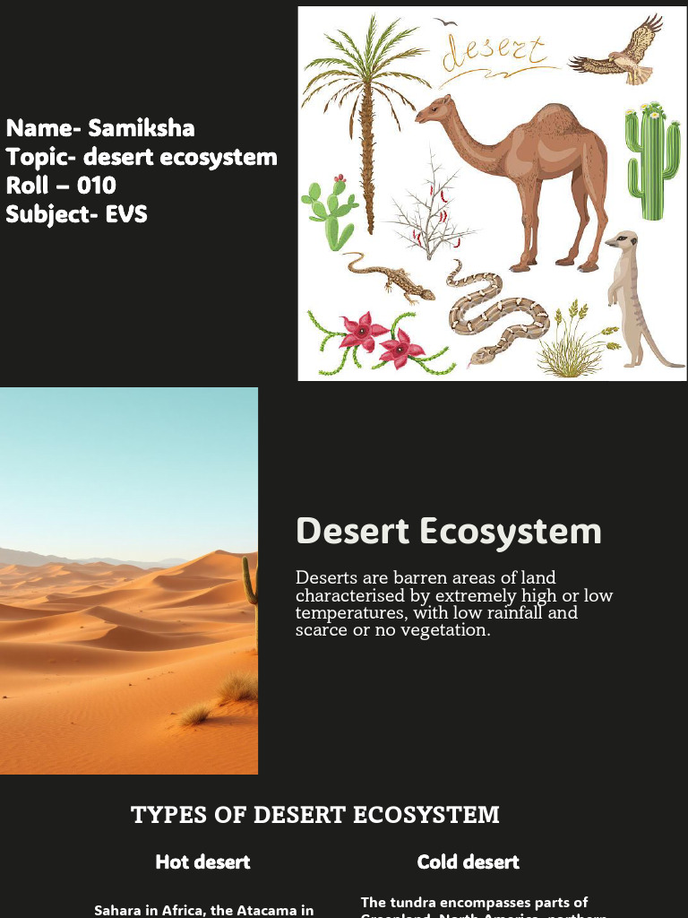 Types and Components of Desert Ecosystems | PDF | Desert | Soil