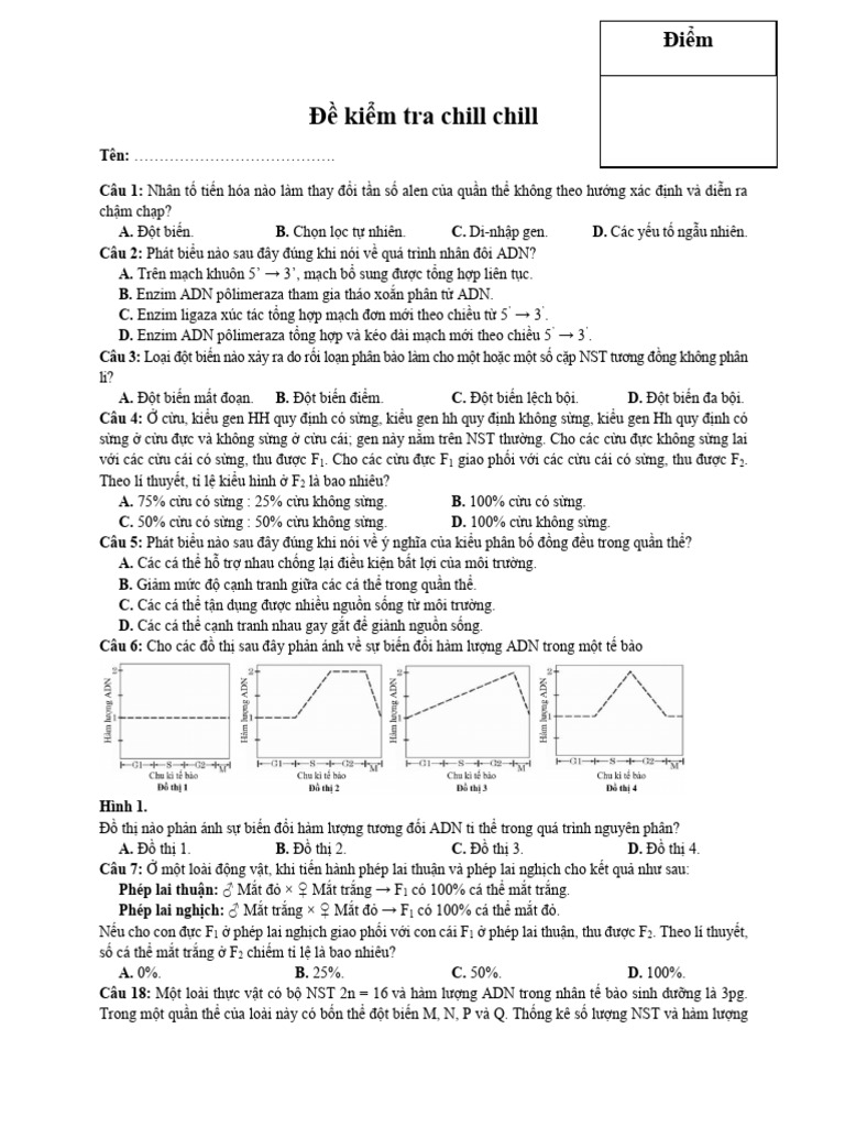 Đề kiểm tra chill chill | PDF