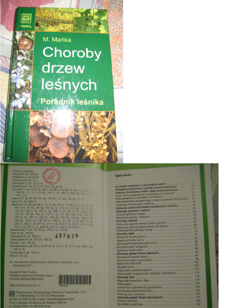 M. Mańka - Choroby Drzew Leśnych 2011 | PDF