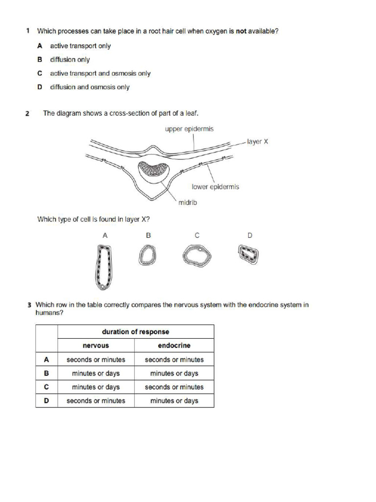 unit 1,2,3 test 2025 | PDF