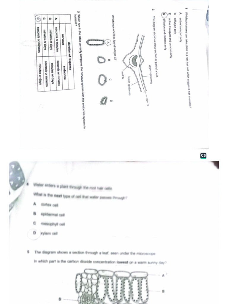 Ahro Sameul Quiz | PDF