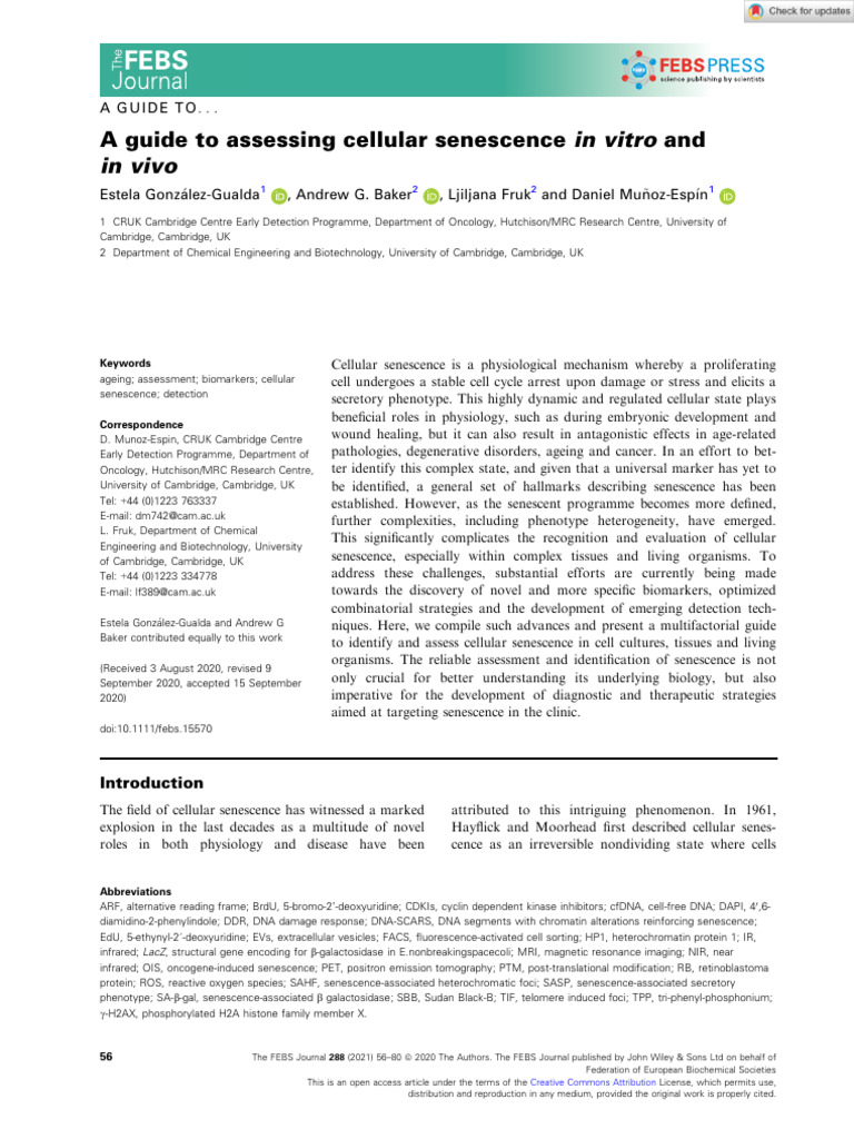 A Guide To Assessing Cellular Senescence in Vitro and in Vivo | PDF ...