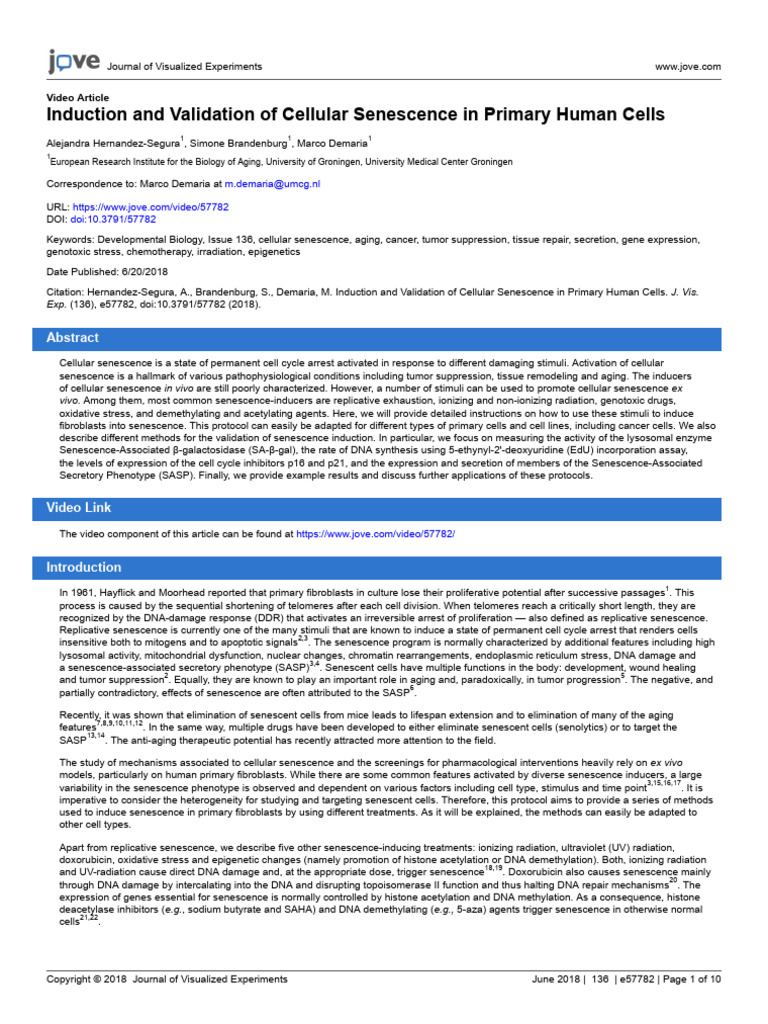 Induction and Validation of Cellular Senescence in Primary Human Cells | PDF | Real Time ...