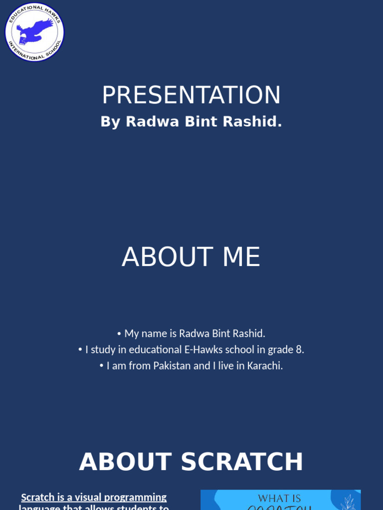 Radwa Presentation | PDF
