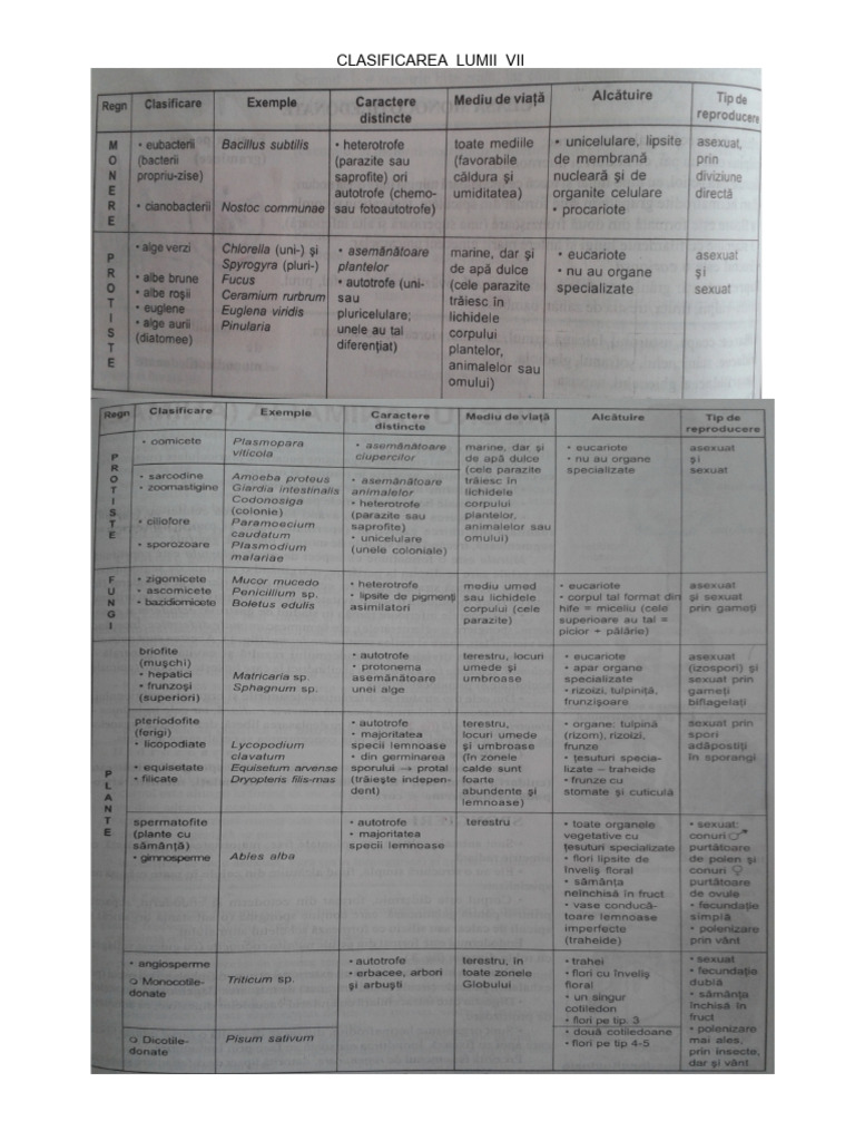 Cl.9 Tabel Regnul Monera, Protista, Fungi Si Plante | PDF
