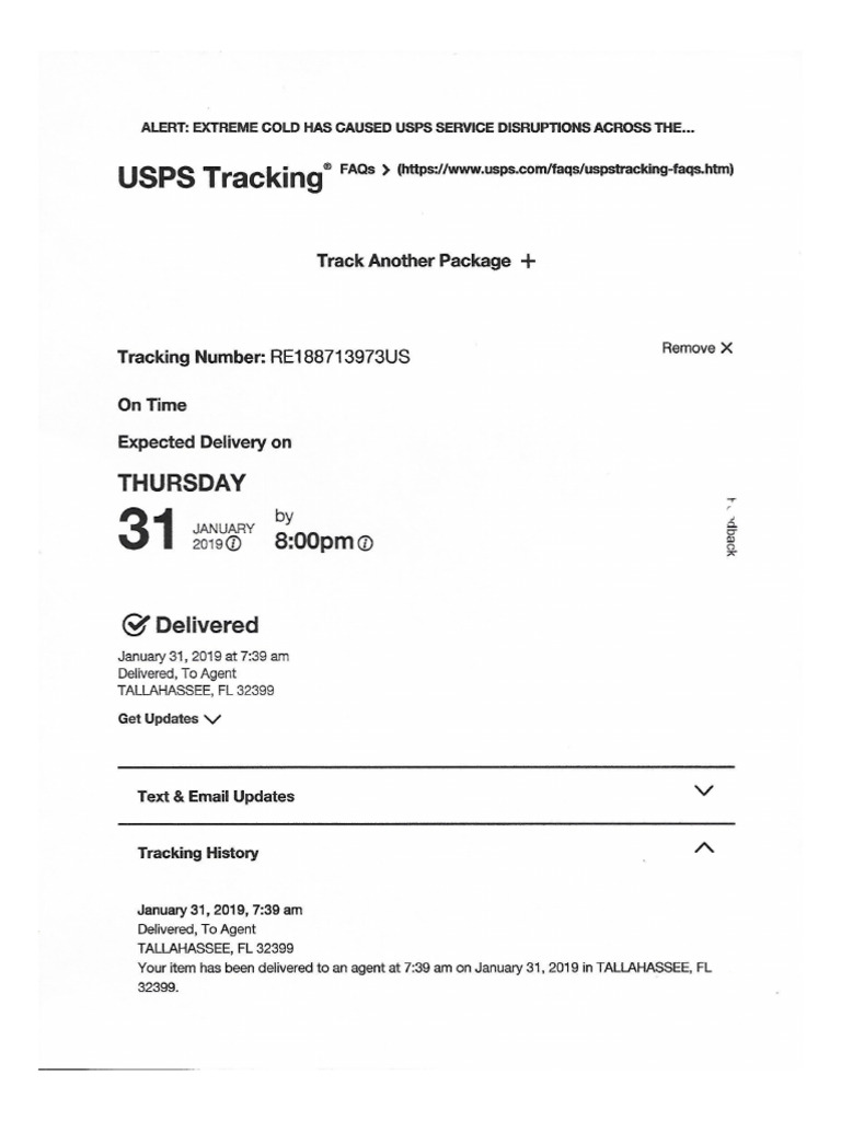 Statutory Declaration Delivery Confirmation by Governor Ron DeSantis by Reginald Owens ©™ F.S ...