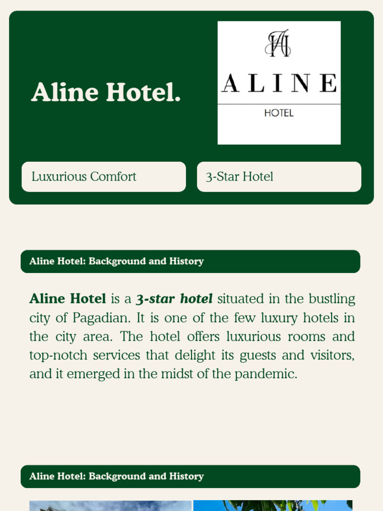 Aline Hotel Interview | PDF | Social Psychology