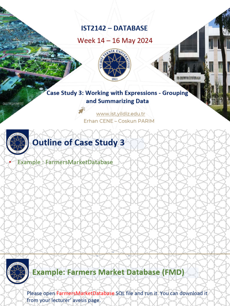 Working With Expressions - Grouping and Summarizing Data - 16.05.20 | PDF | Databases | Sql