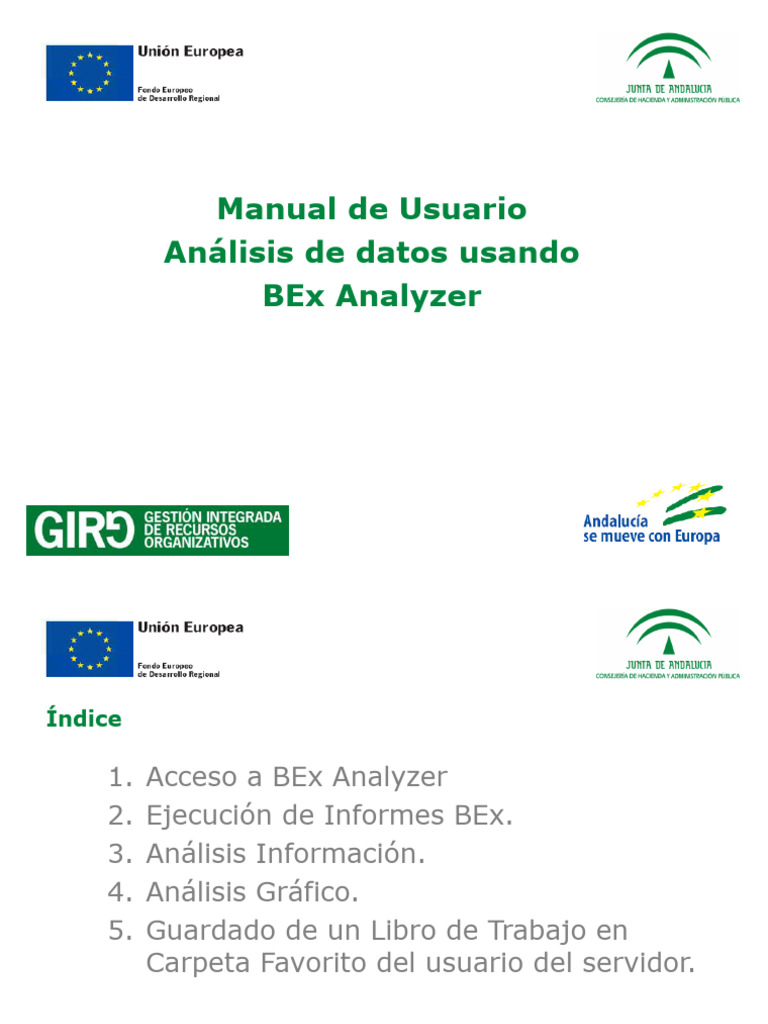 Manual de Usuario - Análisis de Datos Usando BEx Analyzer | PDF | Botón (Computación) | Ciencias ...