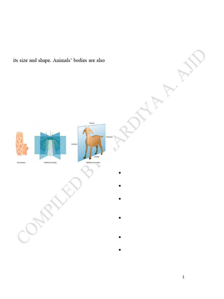 body-plans-integumentary | PDF | Skin | Muscle