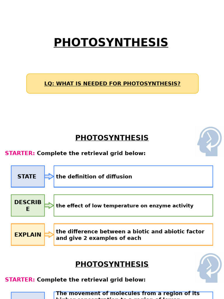 Understanding Photosynthesis Process | PDF | Photosynthesis | Biology
