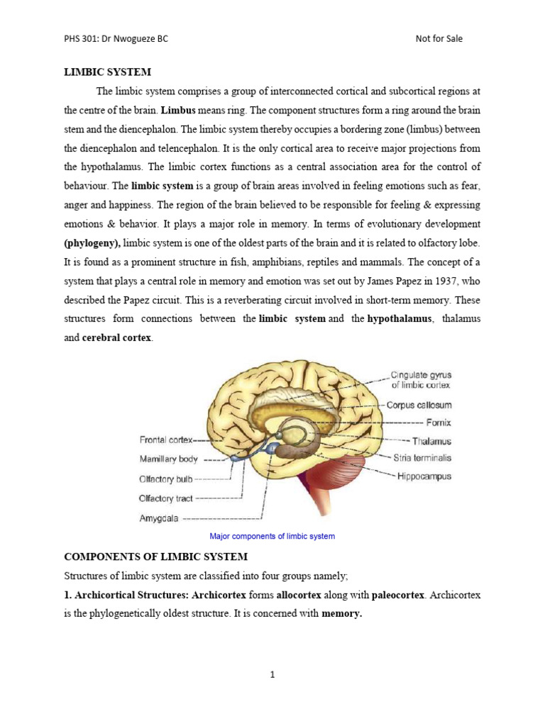 Limbic System | PDF | Limbic System | Cerebral Cortex