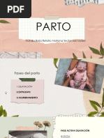 Brandt Andrews | PDF | Partería | Parto
