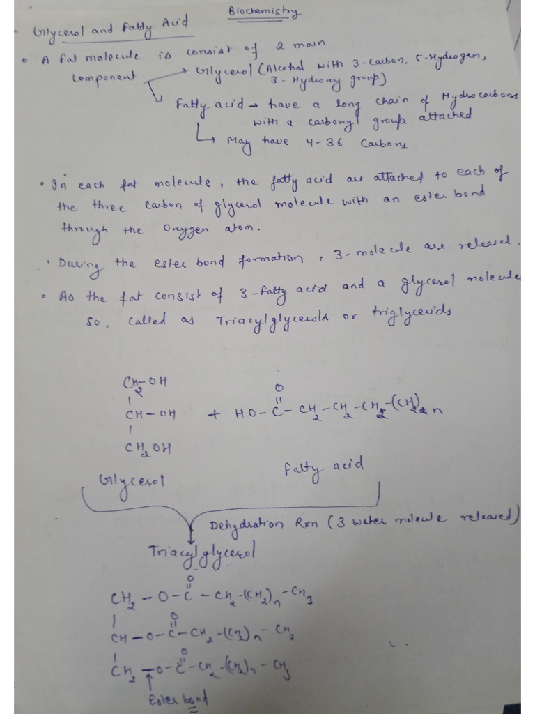 biochemistry basic intro | PDF biochemistry basic intro | PDF
