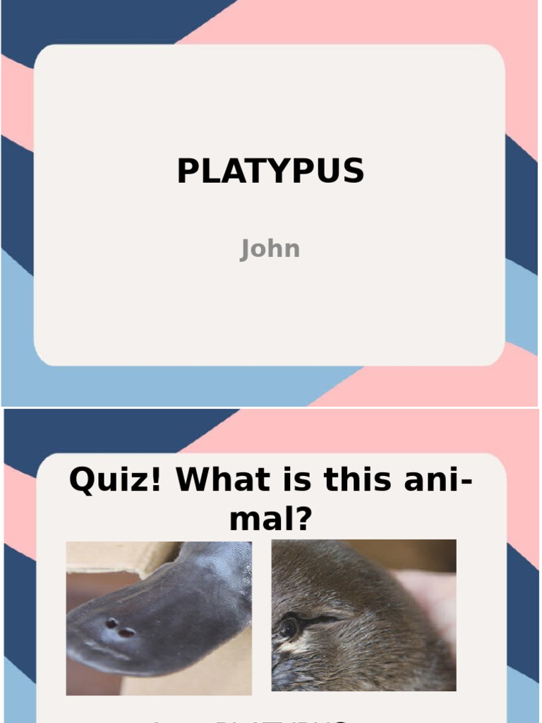 Platypus | PDF | Wellness | Young Adult