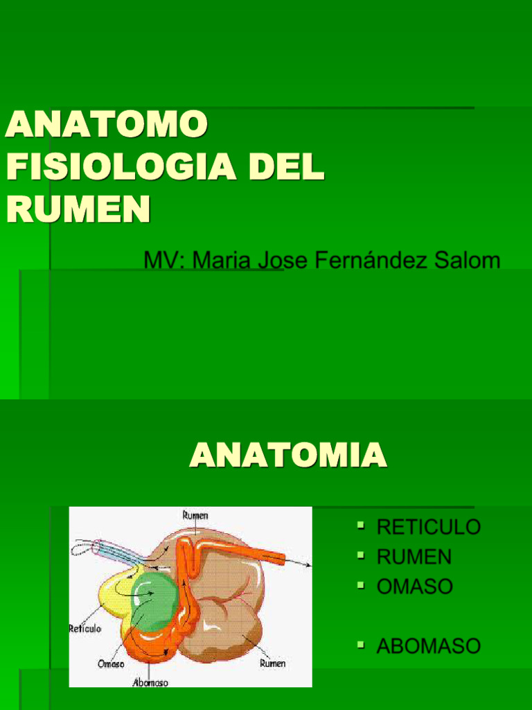 Fisiología y Anatomía del Rumen | PDF | Ciencia y matemáticas