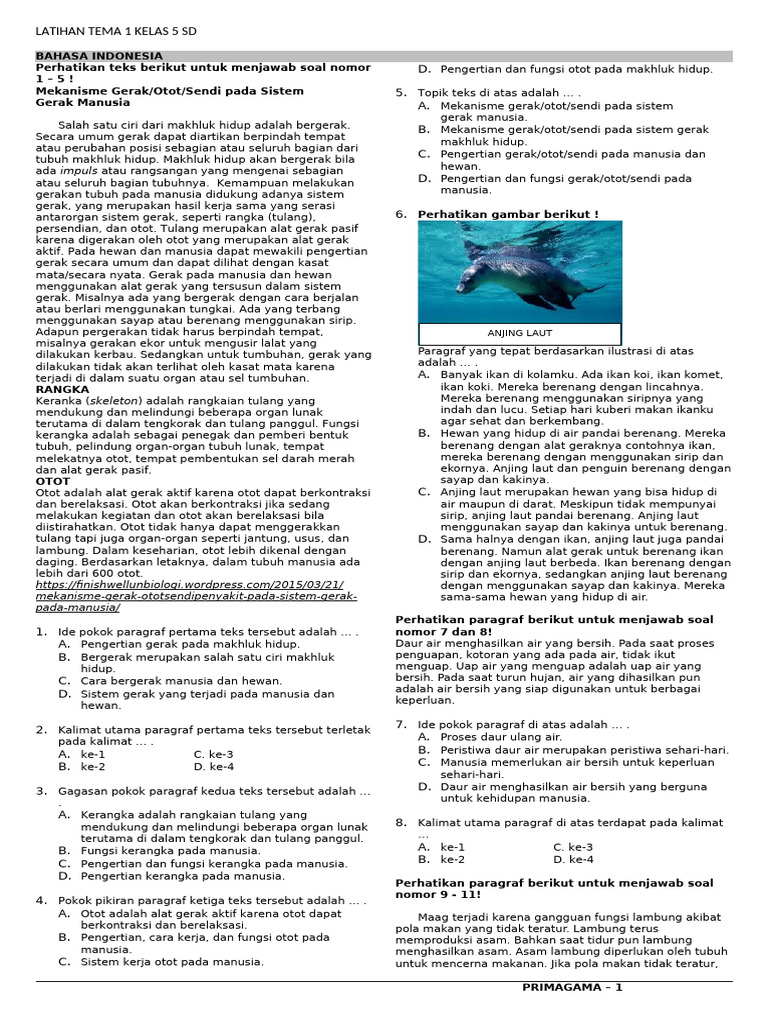 ST1 - Tema1 - 5SD - K16 Edit | PDF