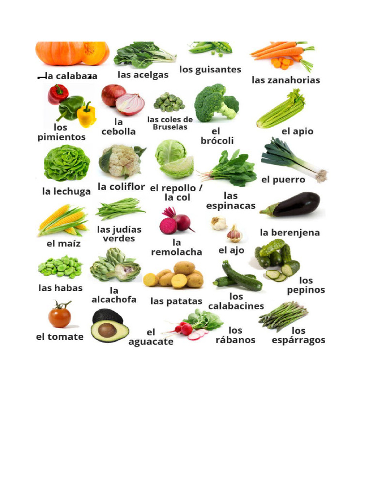 Verduras Pdf