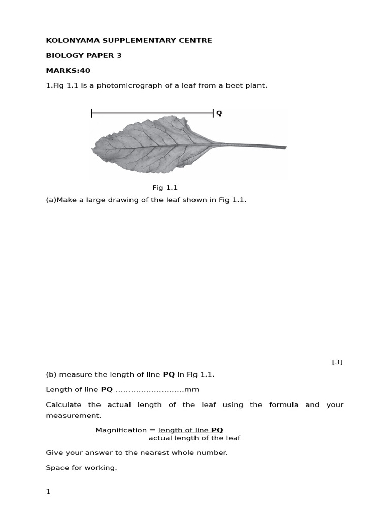 Biology Notes Compilation | PDF