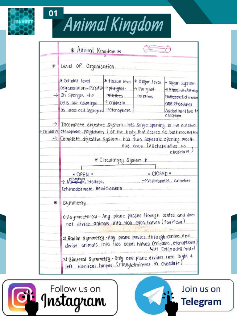 Animal Kingdom | PDF