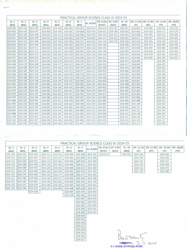Practical Group Science Class Xi 2024 25 | PDF