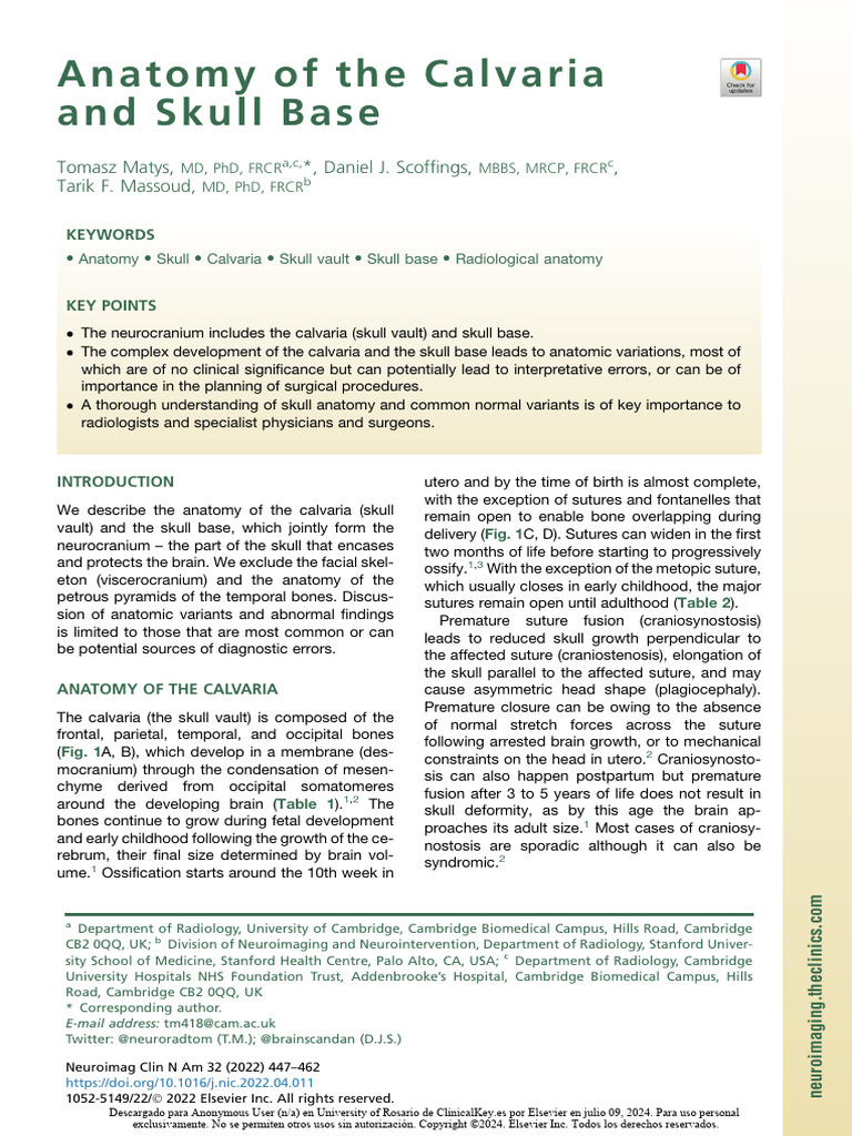 Anatomy of the Calvaria and Skull Base | PDF | Skull | Musculoskeletal System