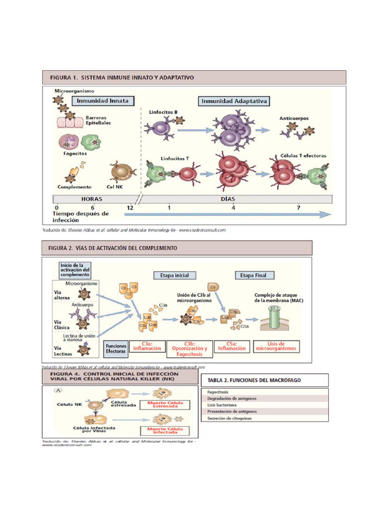 Guia Inmunologia 1B | PDF | Sistema inmune | Anticuerpo