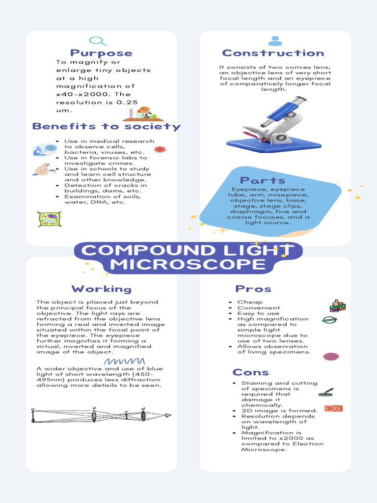 Compound Light Microscope Pdf Equipment Scientific Techniques