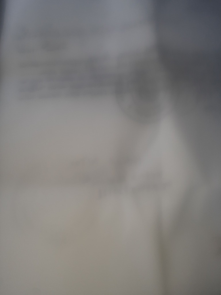 PDF 20241029 131916 | PDF