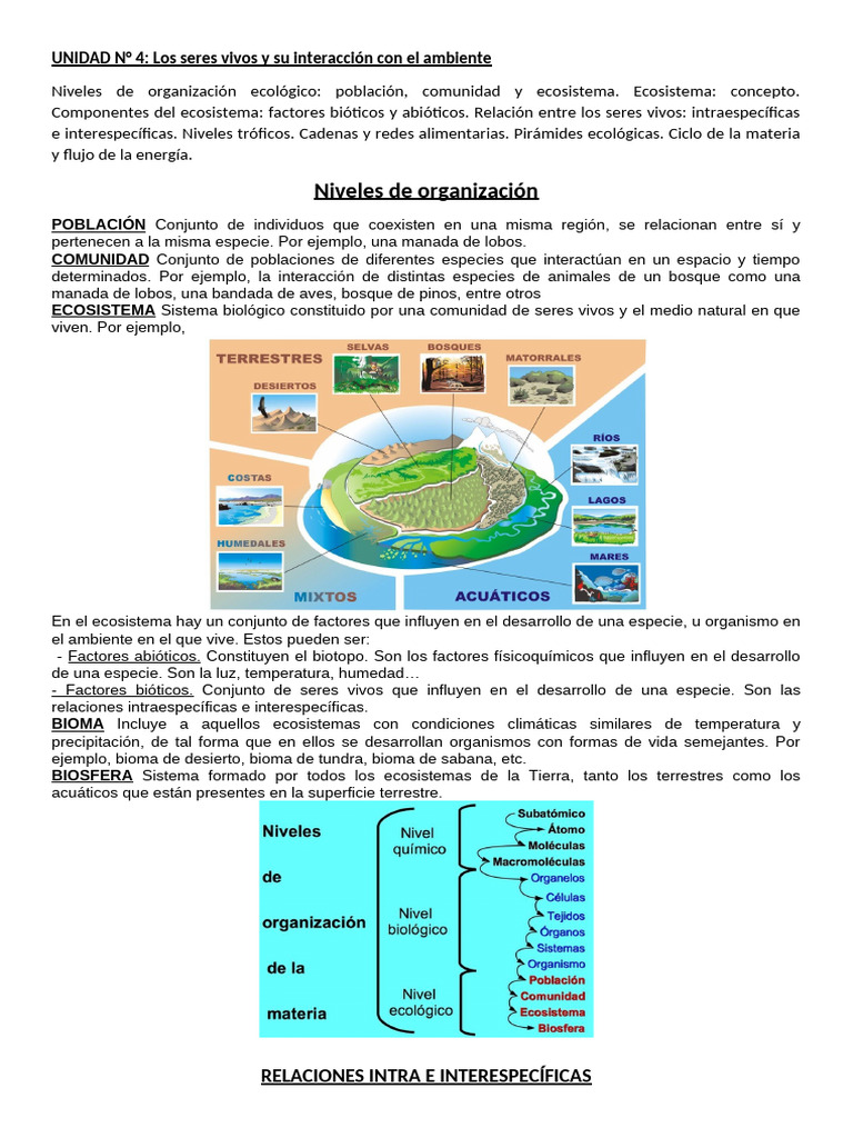 Interacciones Ecológicas y Niveles Tróficos | PDF | Ecología | Ecosistema