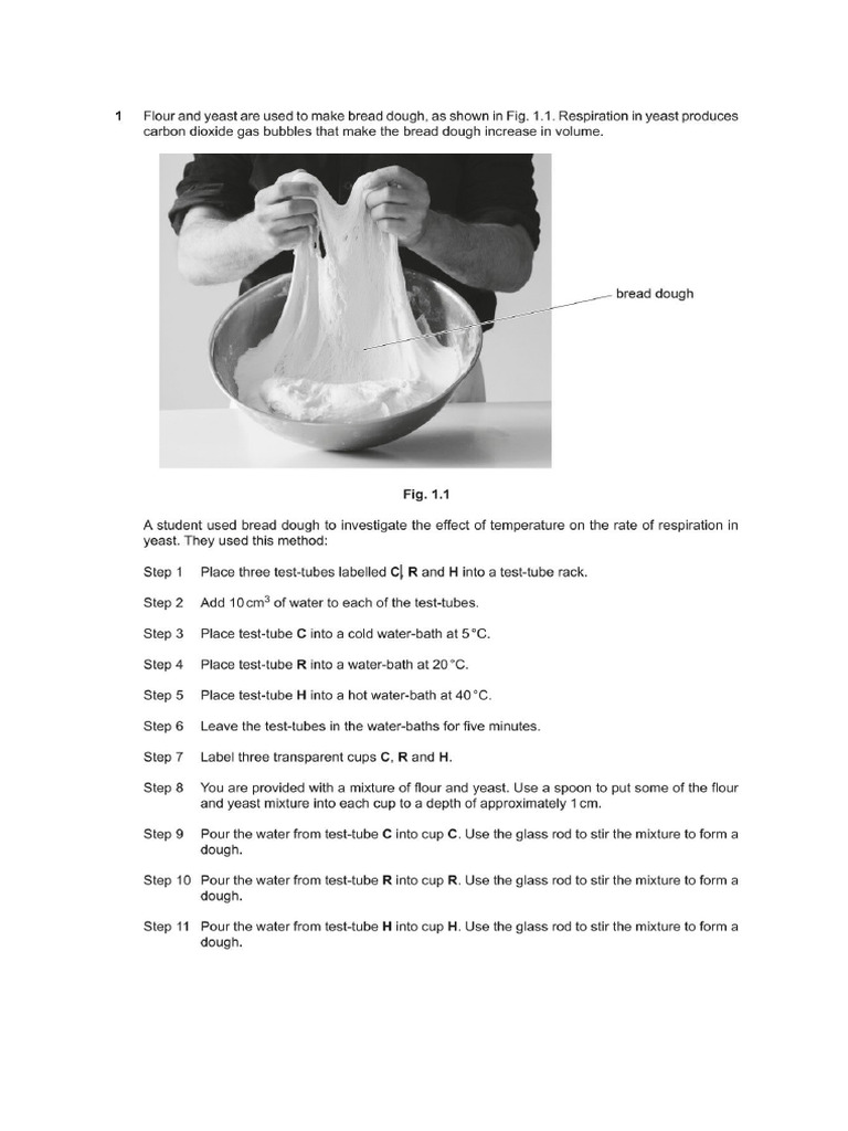 Ig1 - 4 - 11 and 6 - 11 | PDF