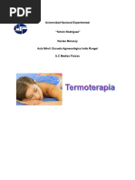 Agentes Térmicos en Fisioterapia: Termoterapia | PDF | Transferencia de ...