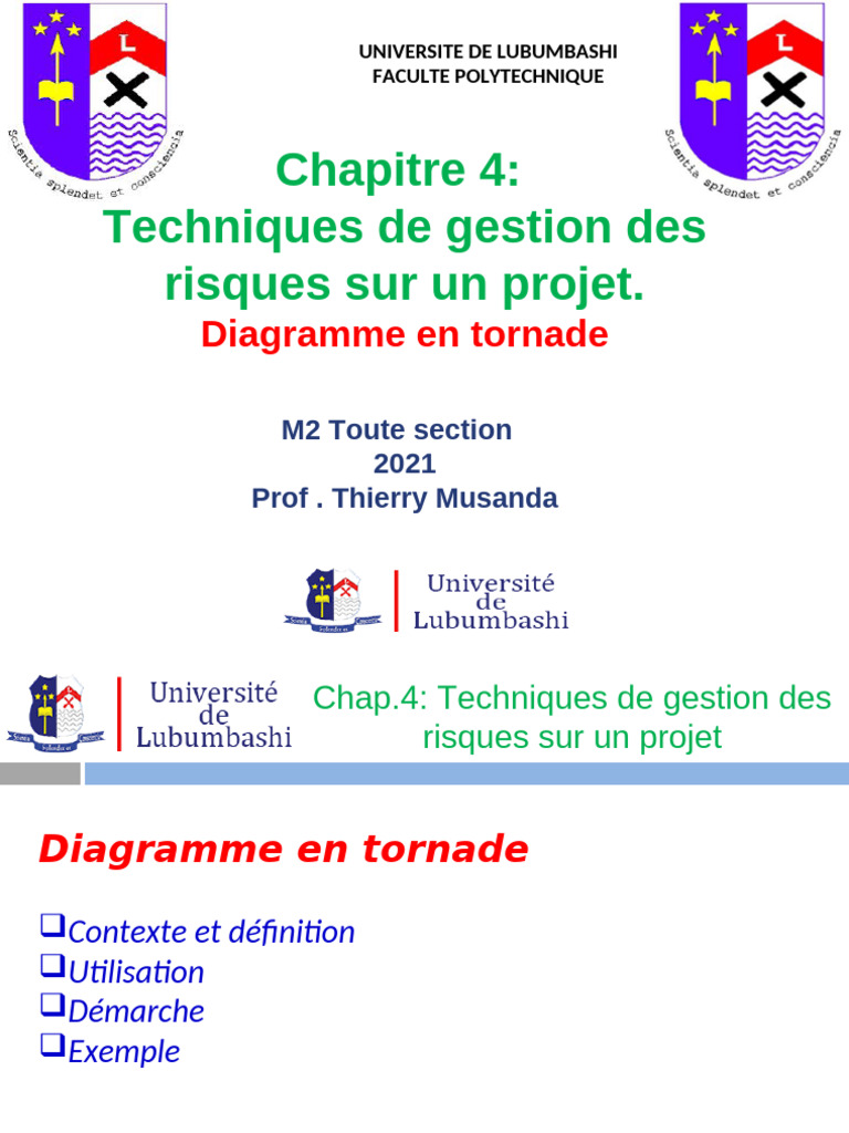 Chap 4c Techniques de Gestion Des Risques Sur Un Projet Diag de Tornade ...