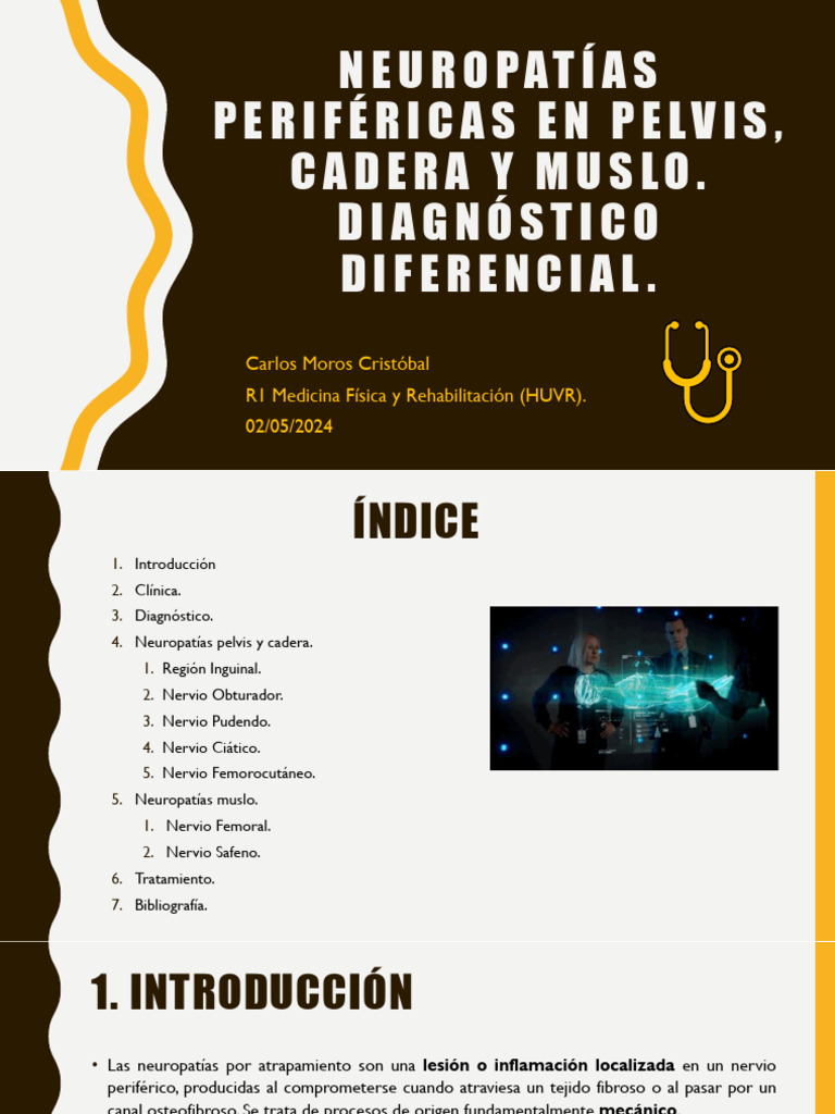 Neuropatías Muslo, Cadera e Ingle | PDF | Rodilla | Extremidades (anatomía)