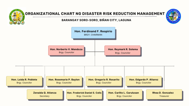 BDRRM (1920 X 1080 PX) | PDF