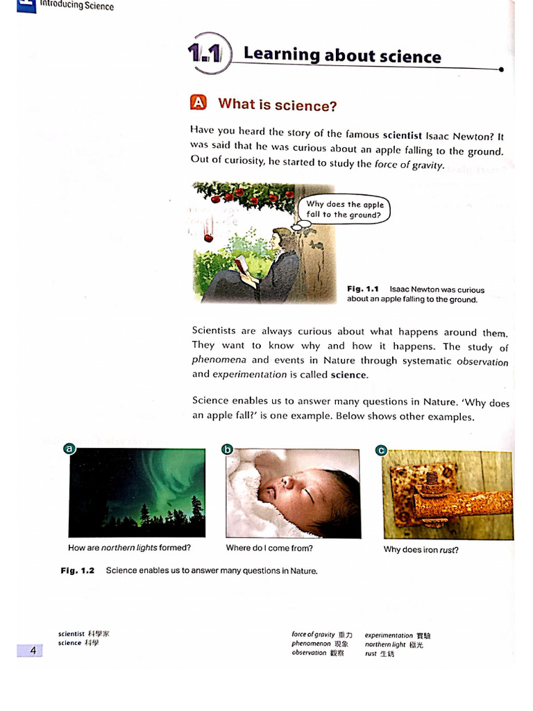 Aristo 1A Book | PDF