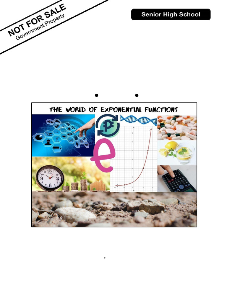 1 6 Exponential Functions A Modeling In Perspective Pdf Exponential