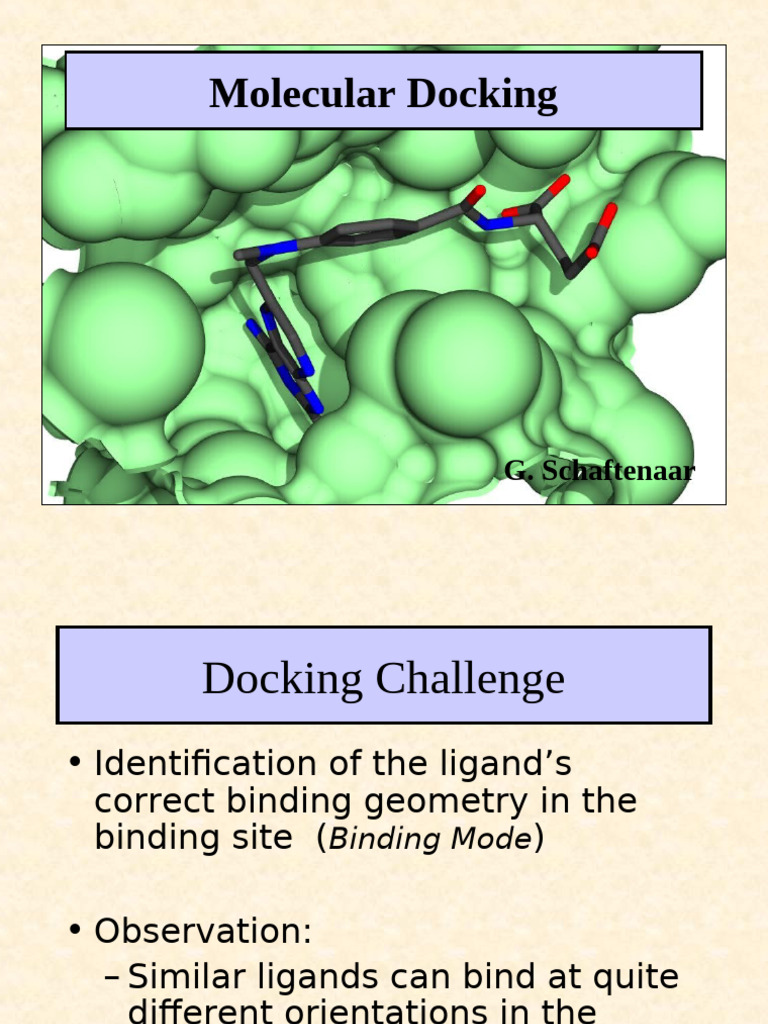 dock_sem | PDF | Docking (Molecular) | Physical Chemistry