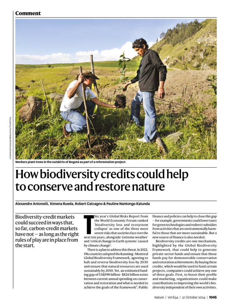 Biodiversity Credits: Market Insights and Impact | PDF | Biodiversity ...